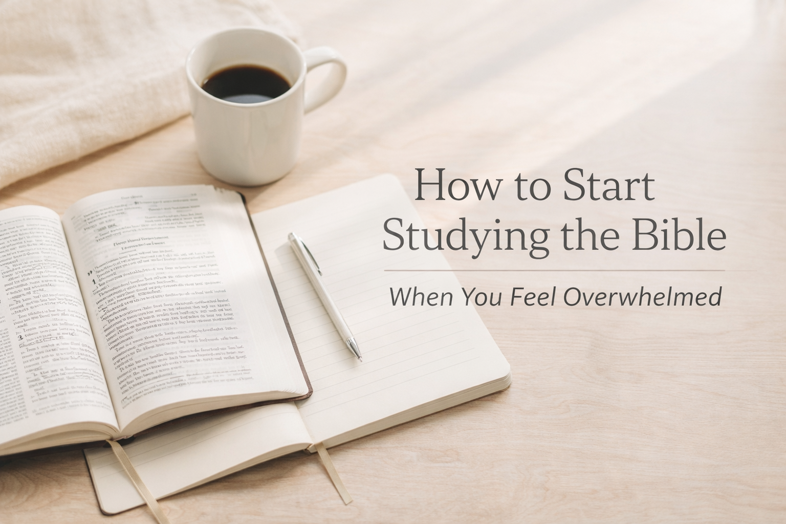 How to Start Studying the Bible (When You Feel Overwhelmed ...